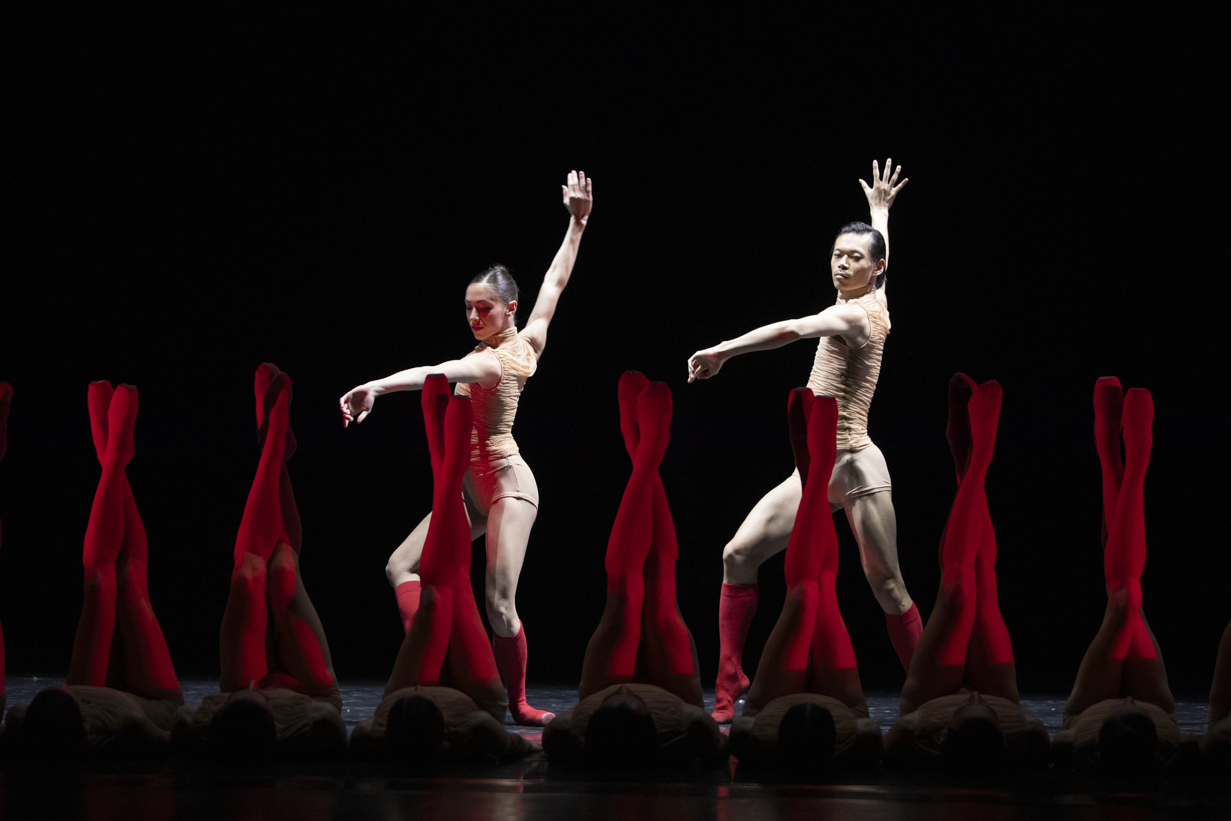 Early Spring Ballet - Polish Opera Now - Polish Opera Now
